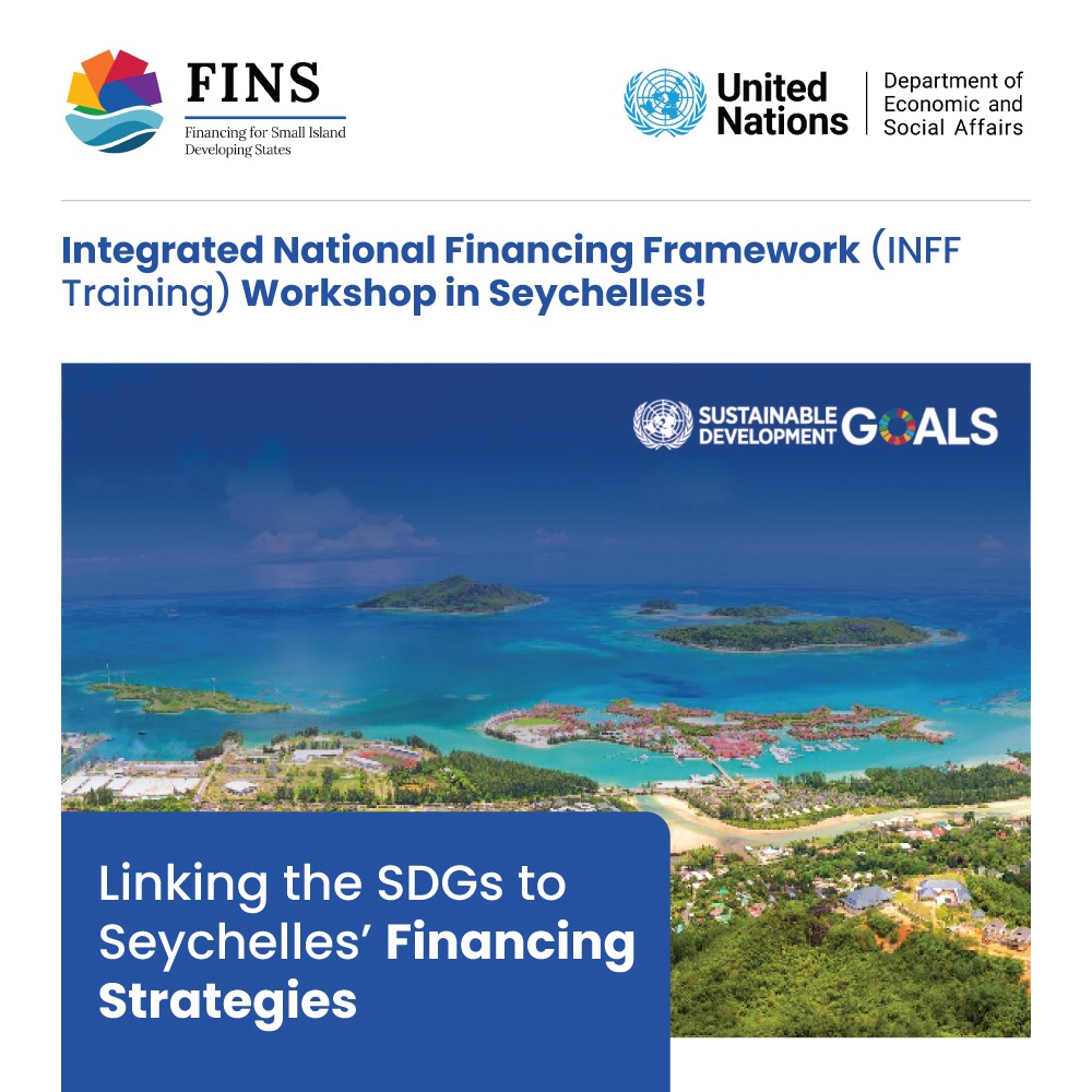 UNDESA Integrated National Financing Framework Workshop | United ...